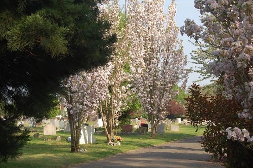 Crematorium and Cemeteries