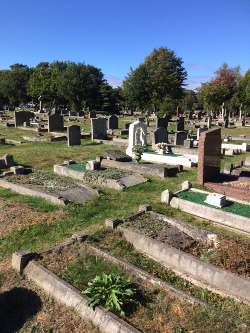 Graves - Reading Borough Council