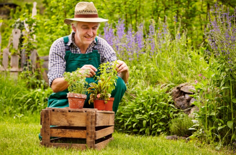 Make the most of your garden this summer - Reading Borough Council